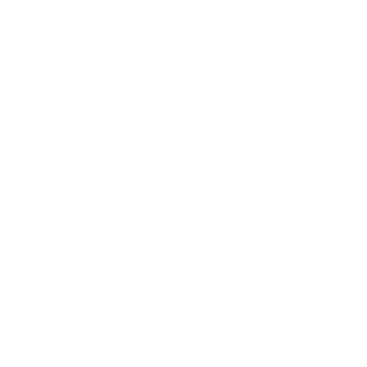 Immigration Miami Lawyer | Expert Immigration Services in Miami